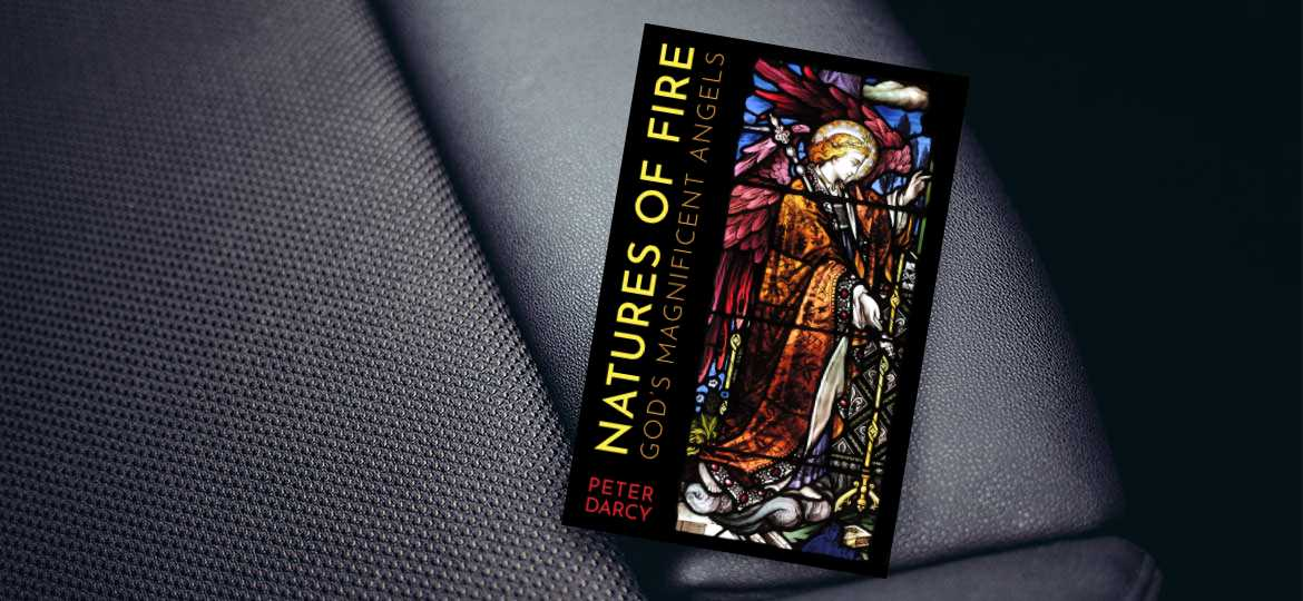 Natures of Fire: God's Magnificent Angels - Flames of Faith Book